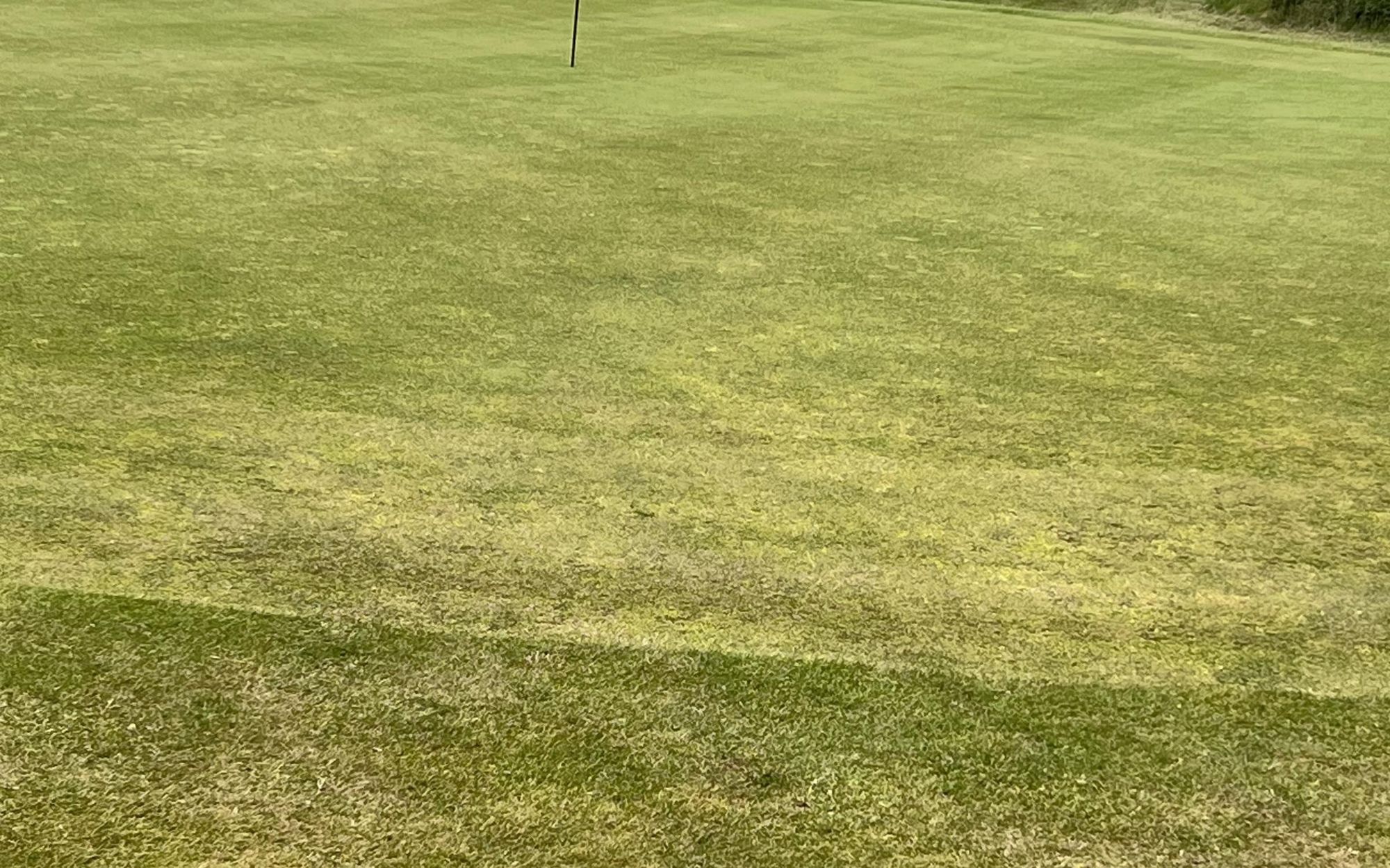 Submit Updates for Machynlleth Golf Club, Machynlleth - CAMRA - The ...