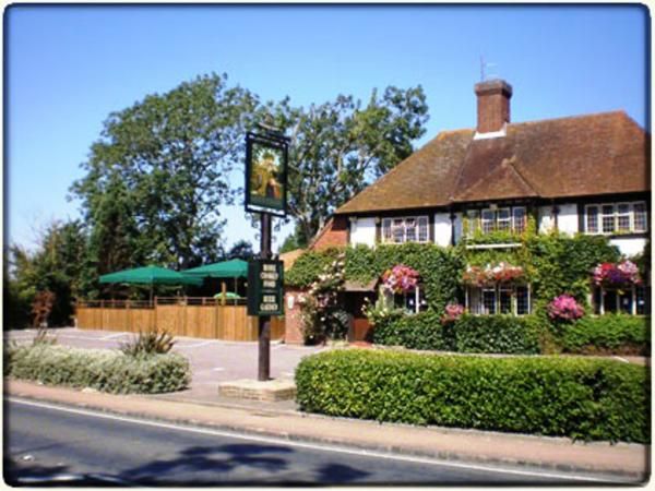 Submit Updates for Green Man, Ringmer - CAMRA - The Campaign for Real Ale