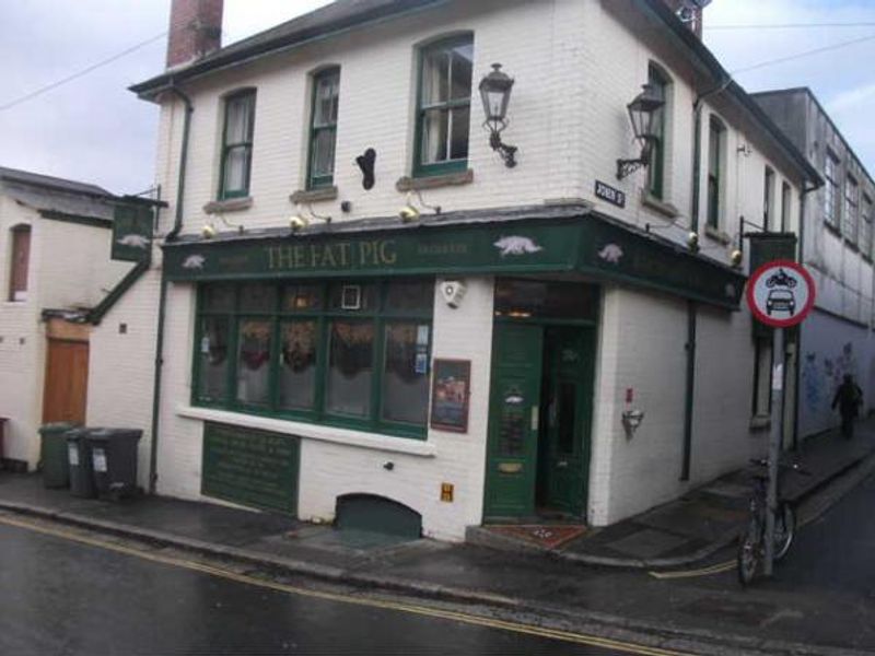 Fat Pig, Exeter - CAMRA - The Campaign for Real Ale