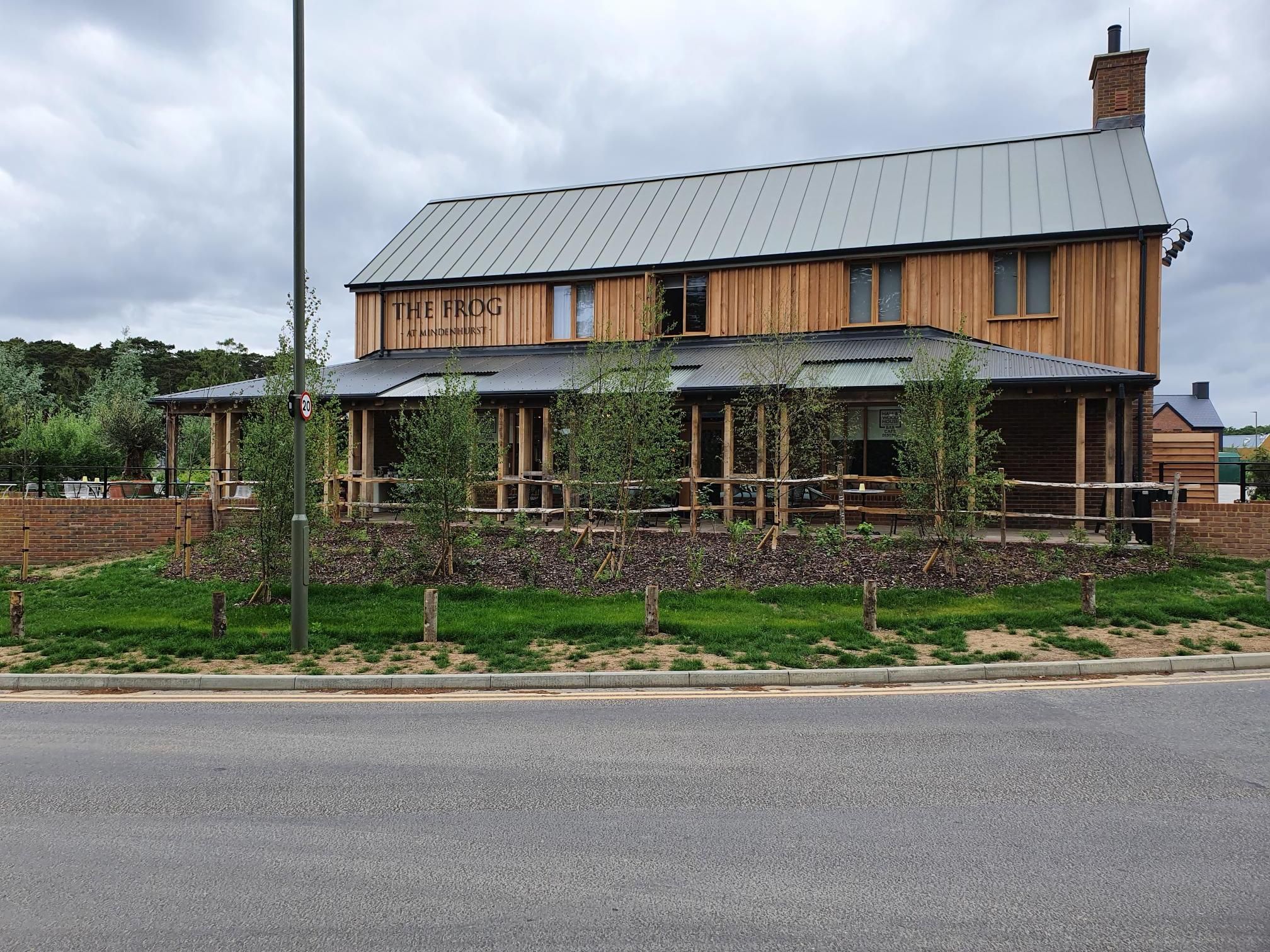 Frog at Mindenhurst, Deepcut - CAMRA Experience