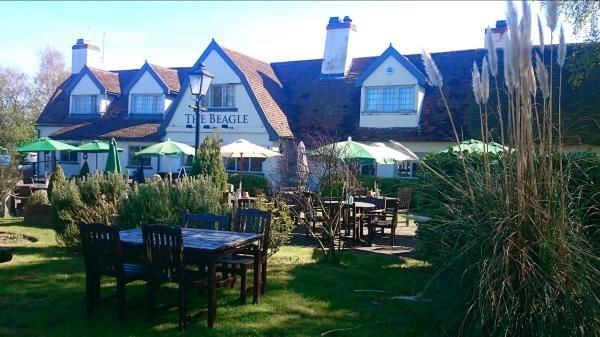 Beagle, Sproughton - CAMRA - The Campaign for Real Ale