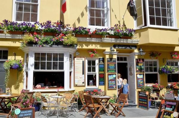 Harbwr Tap & Kitchen, Tenby - CAMRA - The Campaign for Real Ale