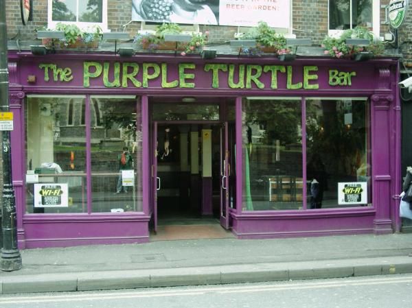 Purple Turtle, Reading - CAMRA - The Campaign for Real Ale