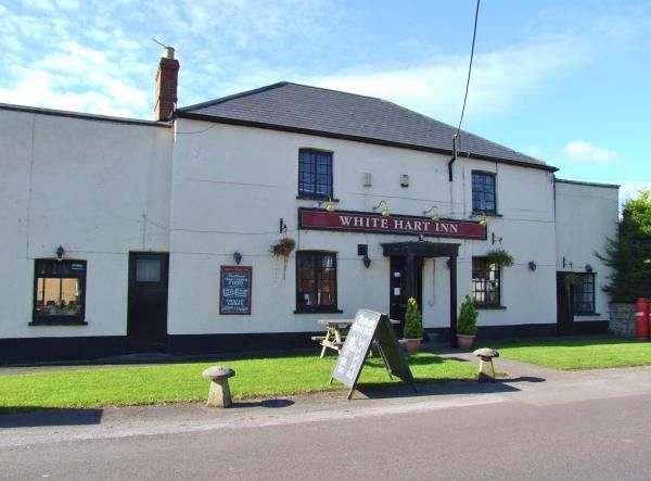 Leather & Lace Bar & Grill, Chilton Polden - CAMRA - The Campaign for ...