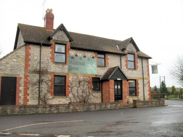 Walnut Tree West Camel Camra The Campaign For Real Ale
