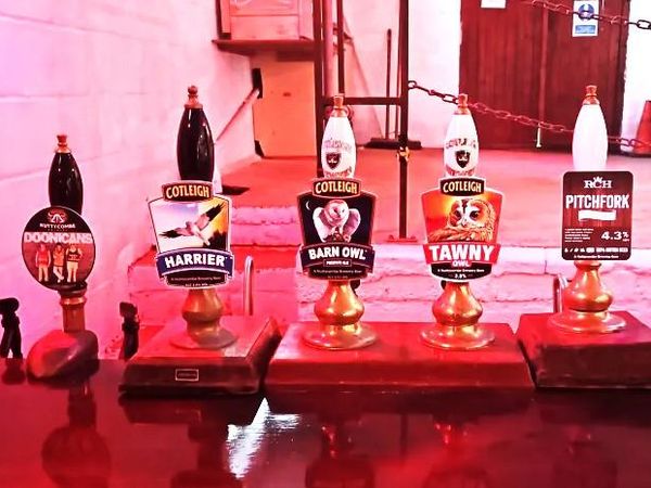 Nuttycombe Brewery (Hancocks Dray Tap) - Good Beer Guide App